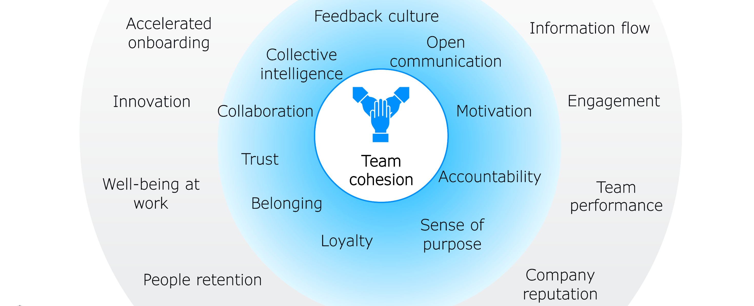 Why team cohesion